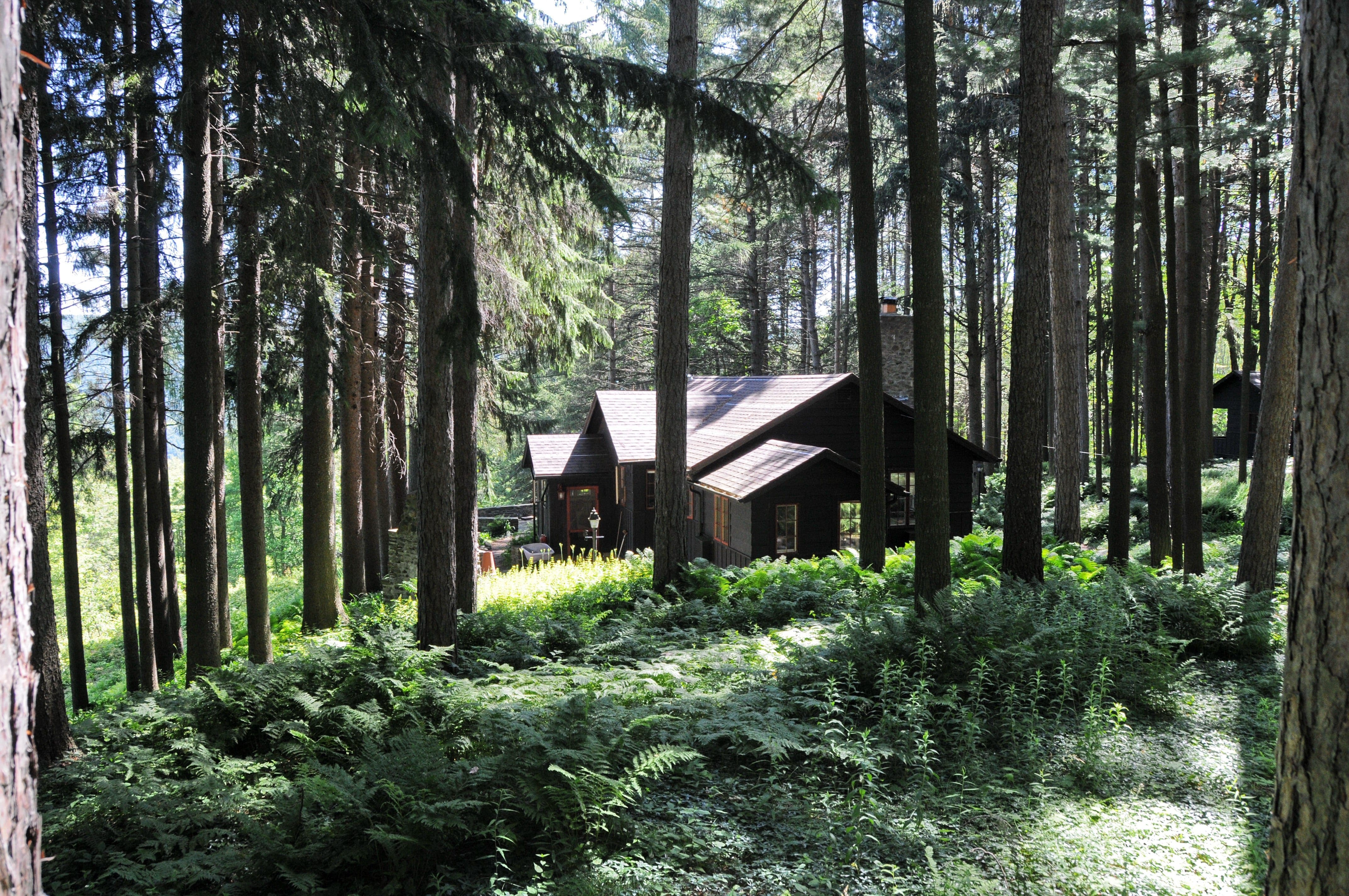 Land for Sale - Future Forest Consulting